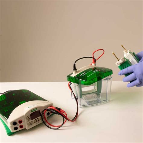 Mini Protean® Tetra Cell And Powerpac™ Basic Power Supply Lasec