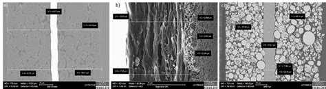 Single Layer Analysis In Cross Section Of The A Anode B The Download Scientific Diagram