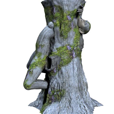 Download Tree Wood Woman Royalty Free Stock Illustration Image Pixabay