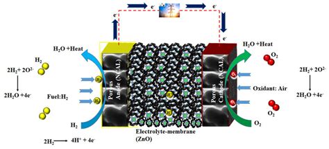 The Electrochemical Processes Involved In The Phase Transition Of Zno Download Scientific