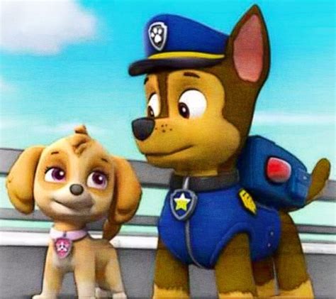 Skye And Chase Skye And Chase Paw Patrol Fan Art 39994889 Fanpop