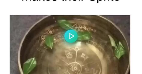 That Sprite Be Crispy Af Album On Imgur