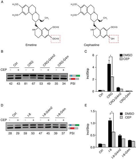 Cephaeline Modulates Alternative Splicing In A G Quadruplex Dependent