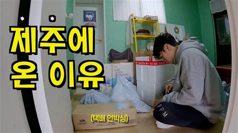 30대 후반 나홀로 도망치듯 떠난 제주 1년 살이 시작 Youtube