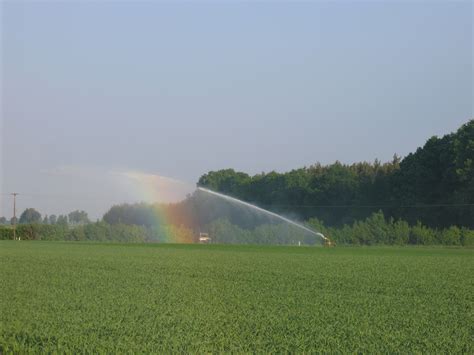 Rohfaser Und Faser Landwirtschaftskammer Niedersachsen