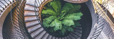 Web Development Tools I Learn Javascript