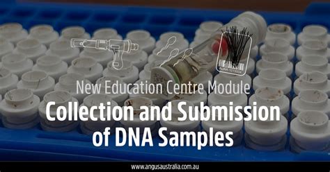 New Aec Module Collection And Submission Of Dna Samples Angus Australia