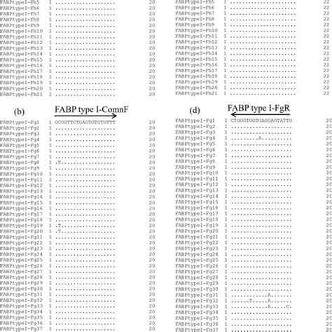 Nucleotide Variations In The Primer Region Of The Multiplex Pcr A Download Scientific Diagram