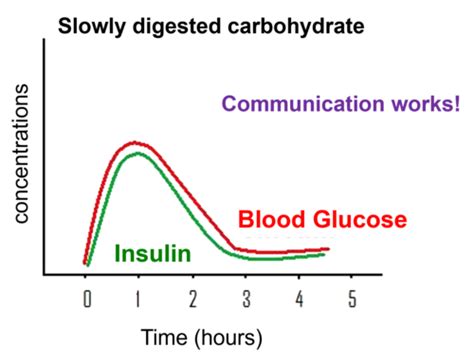 Lecture 16 General Principles Of Cell Signalling Flashcards Quizlet