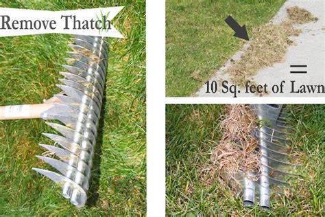 How To Dethatch Lawn Using A Thatching Rake Artofit