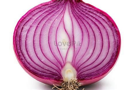 흰색 배경에 양파 사진 무료 다운로드 Lovepik