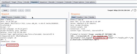 Command Injection Tips Infinite Logins