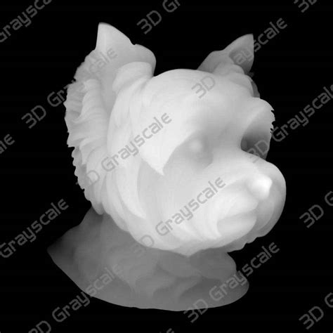 New To 3d Grayscale 3d Grayscale