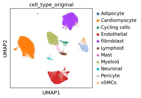 30 spatial deconvolution — single cell best practices