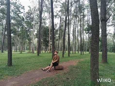 5 พิกัดเที่ยวแม่แตง เชียงใหม่ ไปคนเดียว