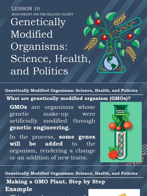 Lesson 10 Genetically Modified Organisms Pdf Genetically Modified Organism Genetic Engineering