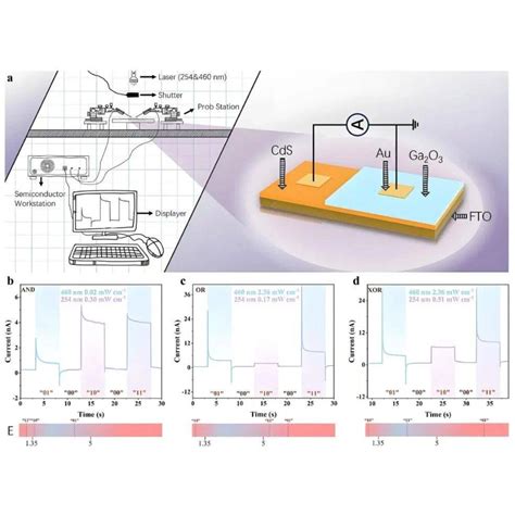哈工大研发宽带异质结自驱动光电探测器，助力加密光通信应用 研究 器件 开发