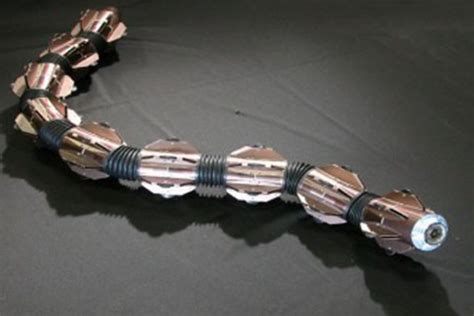 Hibot Présente Lacm R5 Un Robot Serpent Amphibie