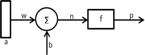 A One Input Neuron System Where F Is The Activation Function And A