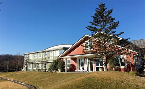 了解葡萄城 关于葡萄城 葡萄城