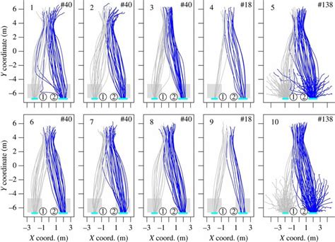 Experiment A—pedestrian Trajectories The Pedestrians Were Moving From Download Scientific