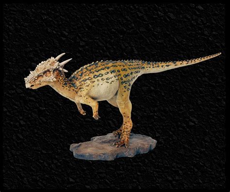 Tamanho Dracorex