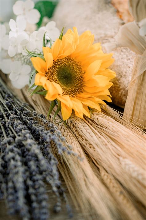 Ignite Womens Conference Money Makes The World Go Round Yes Or No🤔