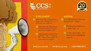 Sample Of Malaysian E Invoicing CCS