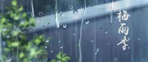 它来了入梅扬中官宣更坏的消息是 大暴雨 江苏 防汛