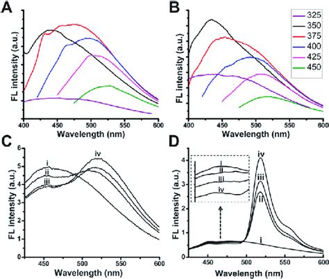 Photophysical Properties Of Amphiphilic Carbon Dots In Membrane Download Scientific Diagram