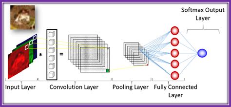 深度学习架构（cnn、rnn、gan、transformers、编码器 解码器架构）的友好介绍。