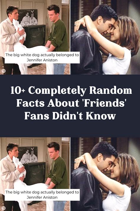 Details About Big Bang Theory Characters Fans Didn T Know Artofit