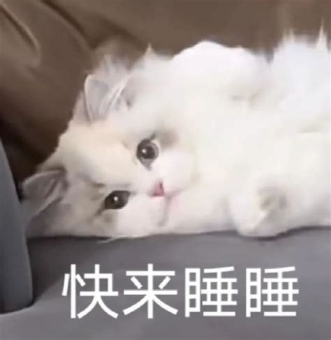 表情包逐渐膨胀了