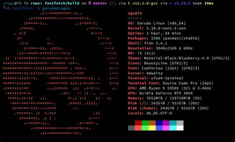 Fastfetch Help Needed Unsupported Software AUR Other Garuda Linux Forum