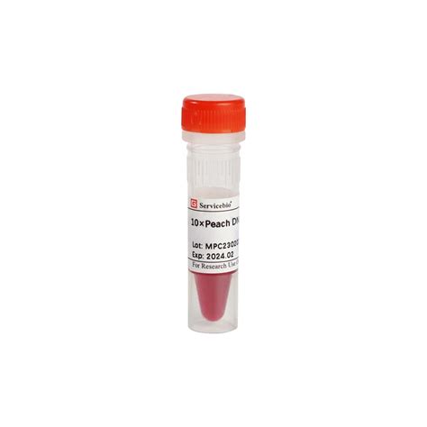 Peach DNA Loading Buffer ML For Nucleic Acid Electrophoresis Smartscience