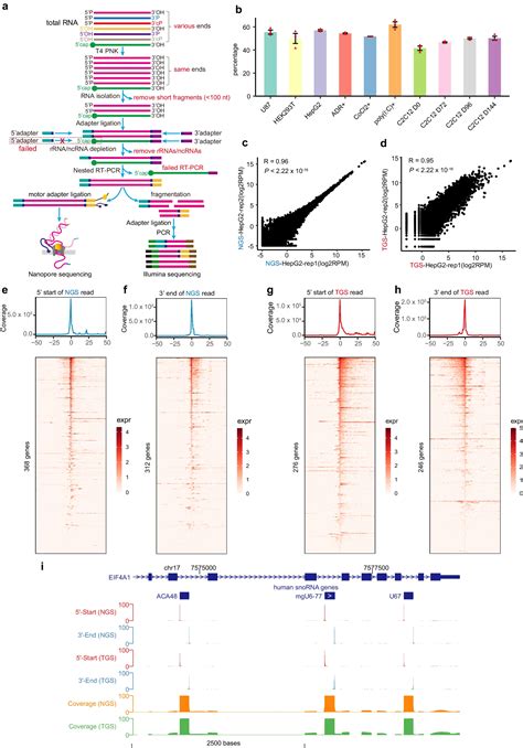 Nap Seq For Full Length Noncapped Rna Sequencing Rna Seq Blog