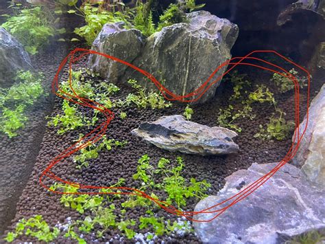 Help My Monte Carlo Is Melting Rplantedtank