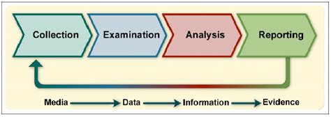 1 Nists 4 Phases Forensic Model Download Scientific Diagram