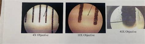 Solved DETERMINING THE DIAMETER OF THE FIELD Chegg Com