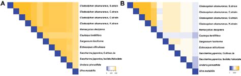 Summary Of Overlapping Features Among The 12 Seaweed Putative Download Scientific Diagram