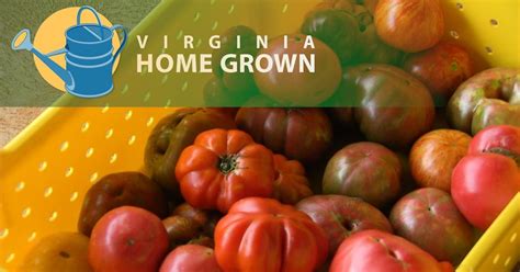 Virginia Home Grown Tufton Farm Heritage Crops Season 19 Episode