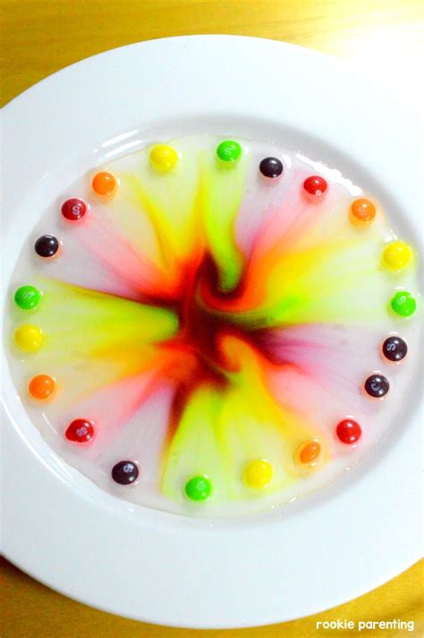 3rd Grade Science Projects Worksheets Library