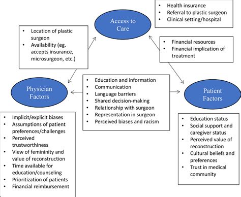 Preliminary Conceptual Framework Of Disparities In Breast