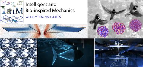 Characterization Of A Unsteady Flow Separation On A Turbulent Boundary
