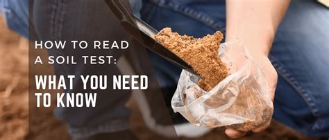 How To Read A Soil Test What You Need To Know