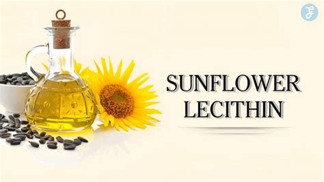 Sunflower Lecithin The Plant Based Source Of Essential Nutrients