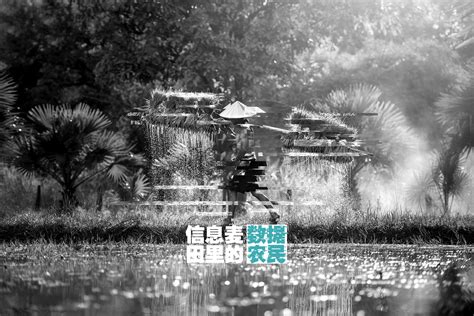 中国bim发展报告2024出炉：70个问题，4322个回答，能看到哪些行业真相？ Bimbox