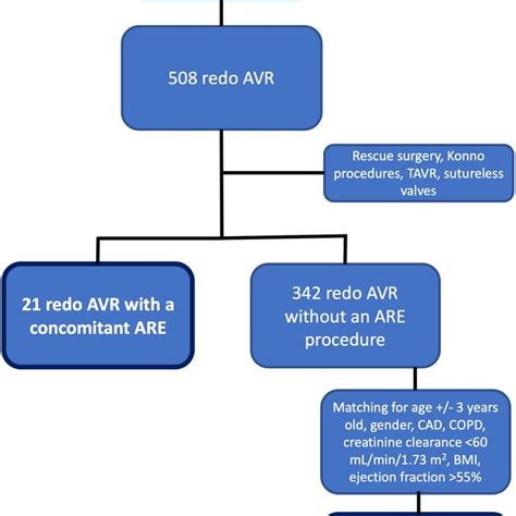 Midterm Survival For Patients Undergoing Redo Aortic Valve Replacement Download Scientific