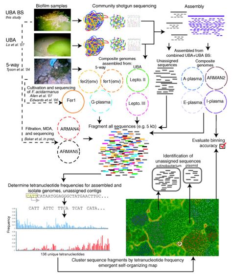 Overview Of Samples Data And Methods Mda Multiple Displacement Download Scientific Diagram