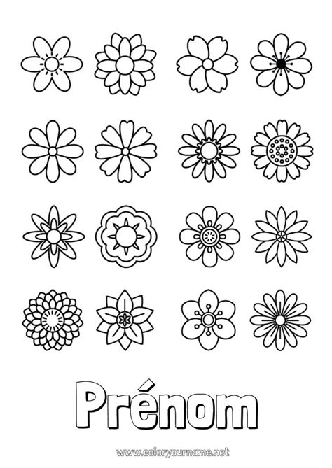Coloriage N°1403 Fleurs Printemps Fleurs à Colorier Coloriage